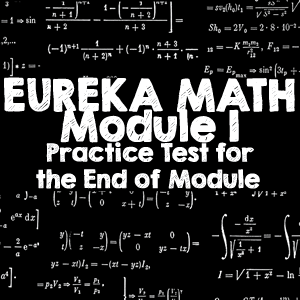 Grade 2 Module 1 Practice Test Eureka Math