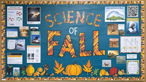10 Fall Bulletin Board Ideas for Classrooms